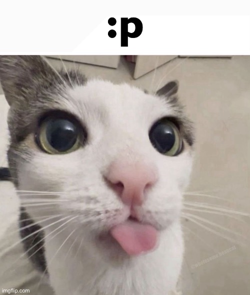 "GIVE BACK THE HOSTAGES!!!!" blehh you cant make me :p - Imgflip