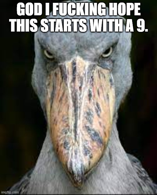 scary bird - Imgflip