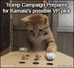 Trump Campaign Prepares for Kamala's possible VP pick - Imgflip