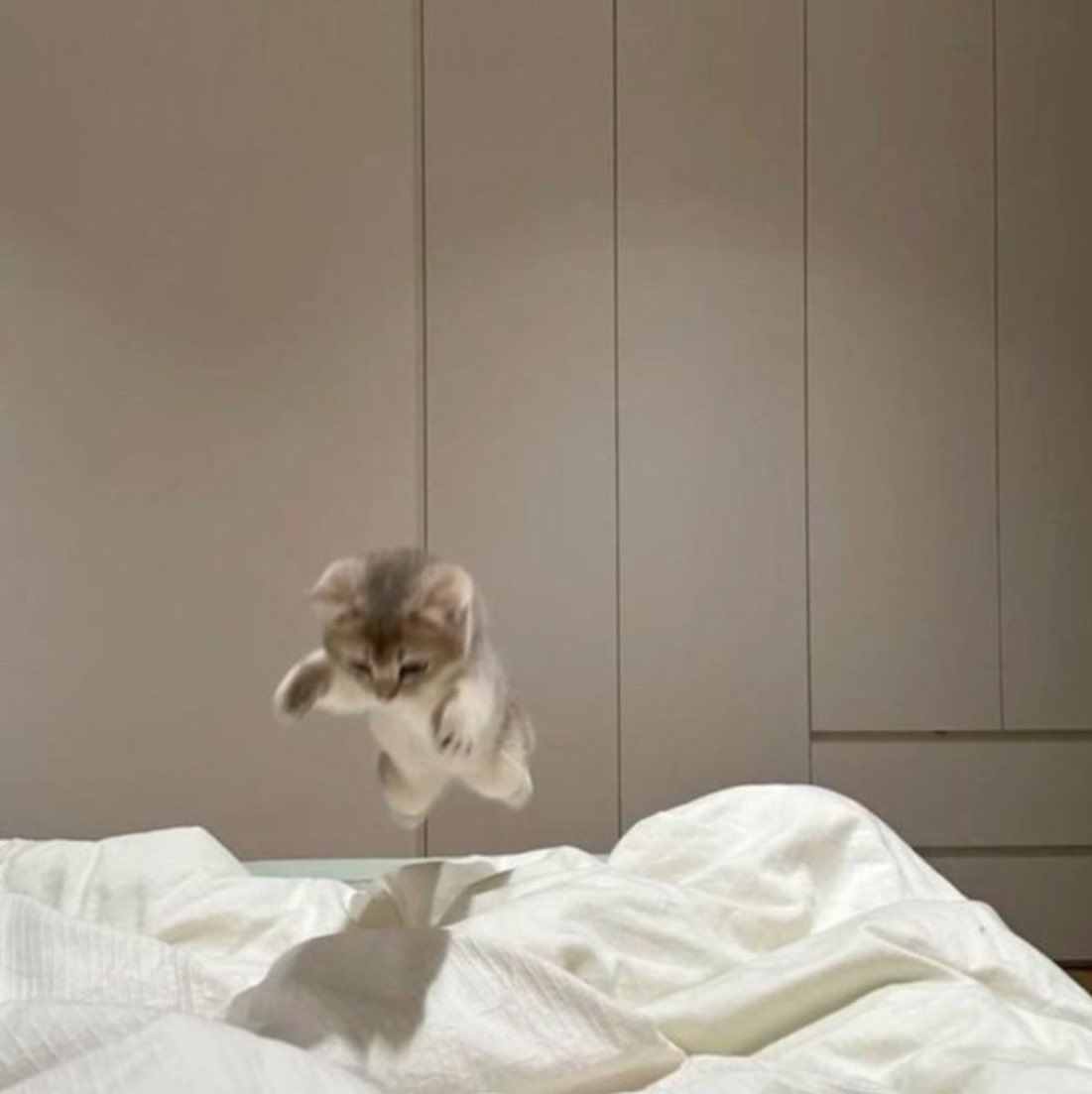 wee weee weeeeeeeee Blank Template - Imgflip