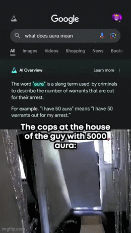 I'm making too much Google AI memes. - Imgflip