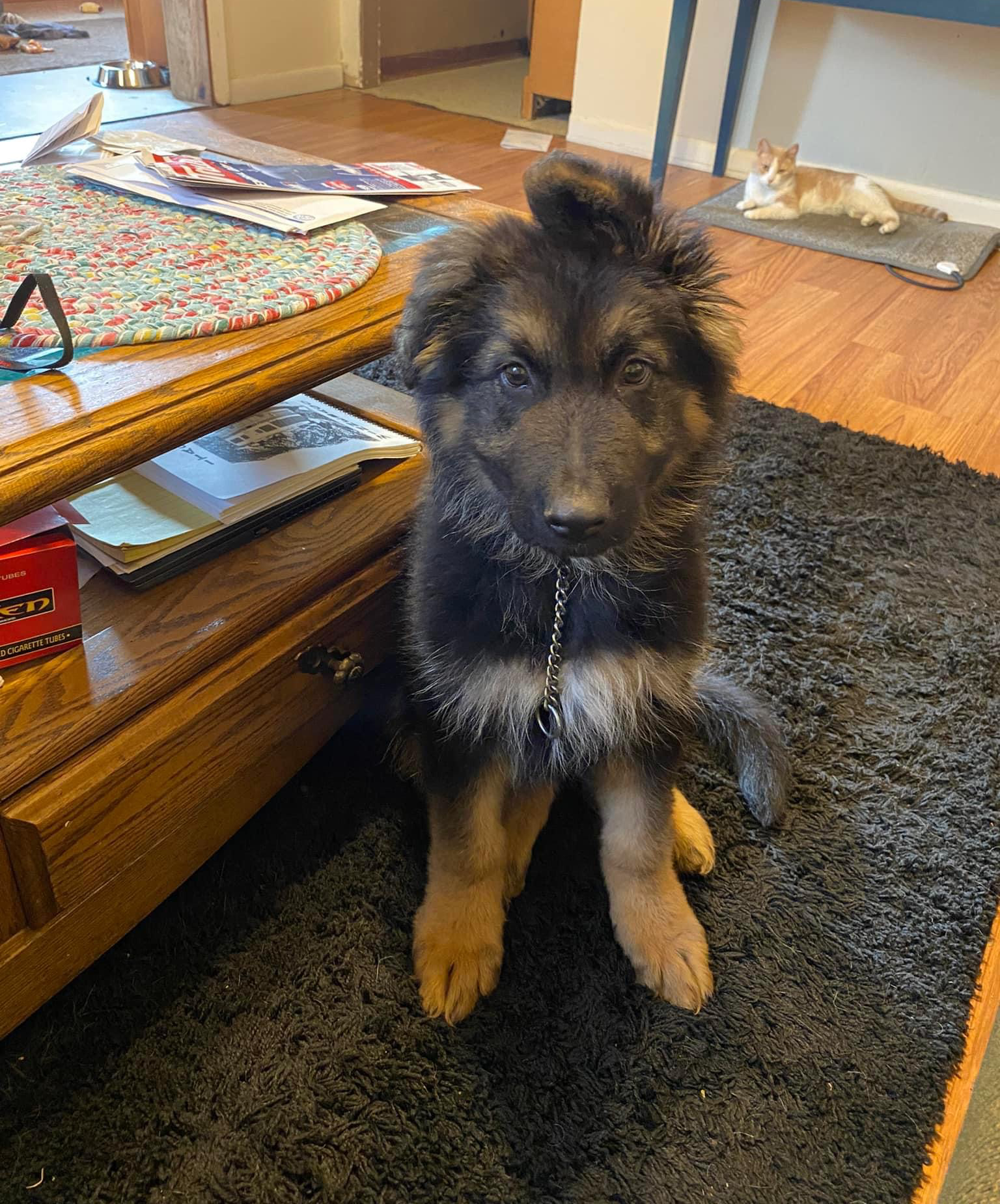 Whatever Blank Template - Imgflip