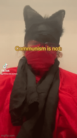 More from the communist kitty cat - Imgflip