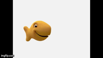 Animated GIF - Imgflip