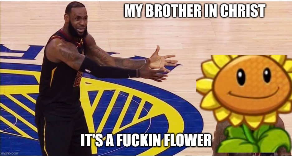 The sunflower lover - Imgflip