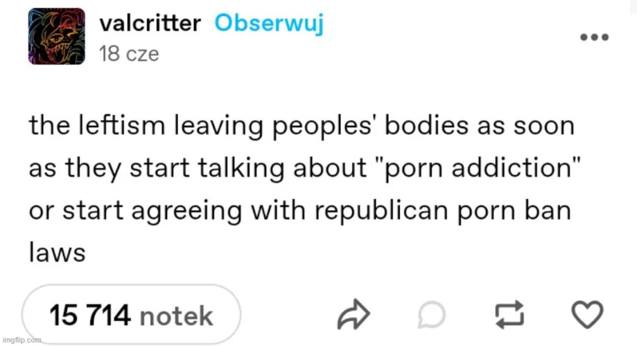 porn addiction is a problem but porn bans are not the solution plain and simple - Imgflip