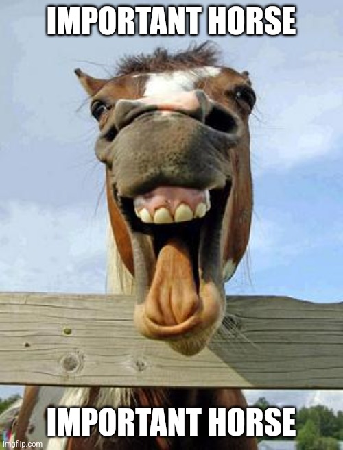 important horse - Imgflip