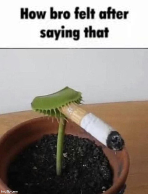 How bro felt after saying that young eminem - Imgflip