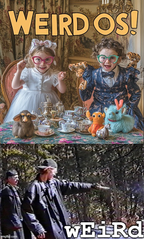 WEIRDOS! vs wEiRd - Imgflip