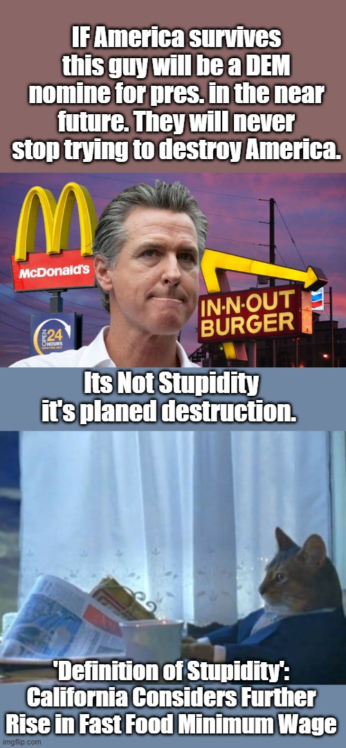 Image tagged in memes,i should buy a boat cat - Imgflip