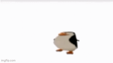 Animated GIF - Imgflip