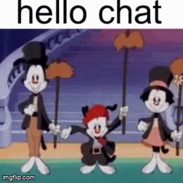 Warner Sibs hello chat - Imgflip