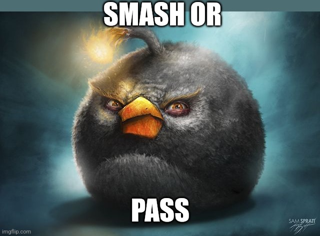 angry birds bomb - Imgflip