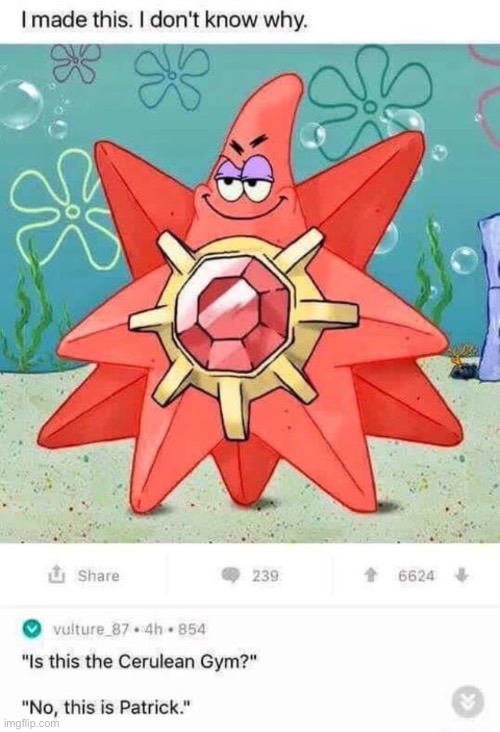 Cerulean city gym moment - Imgflip