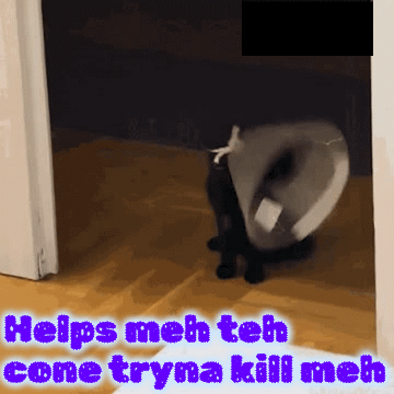 Helps Meh - Imgflip