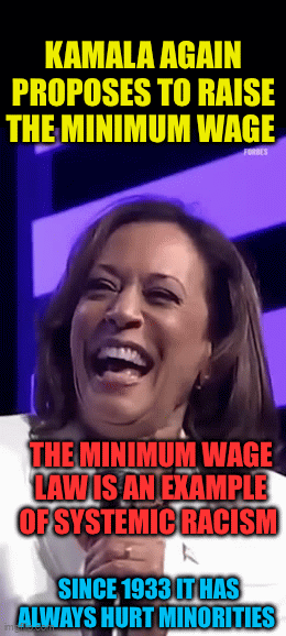 “The real minimum wage is zero” Thomas Sowell - Imgflip