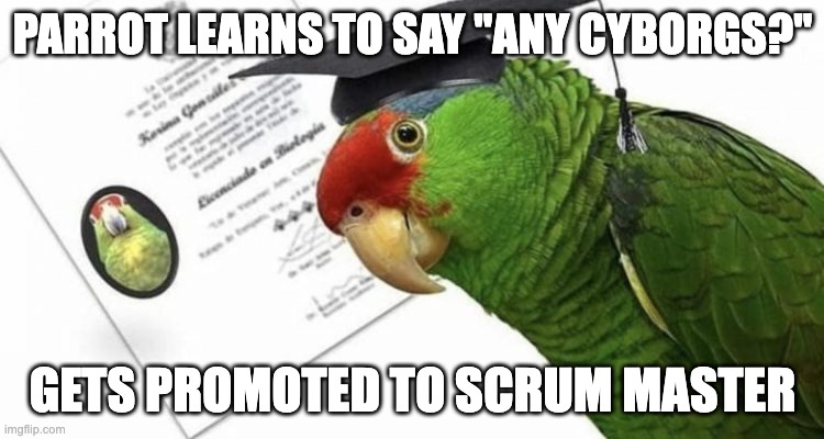 Loro Aprende - Imgflip