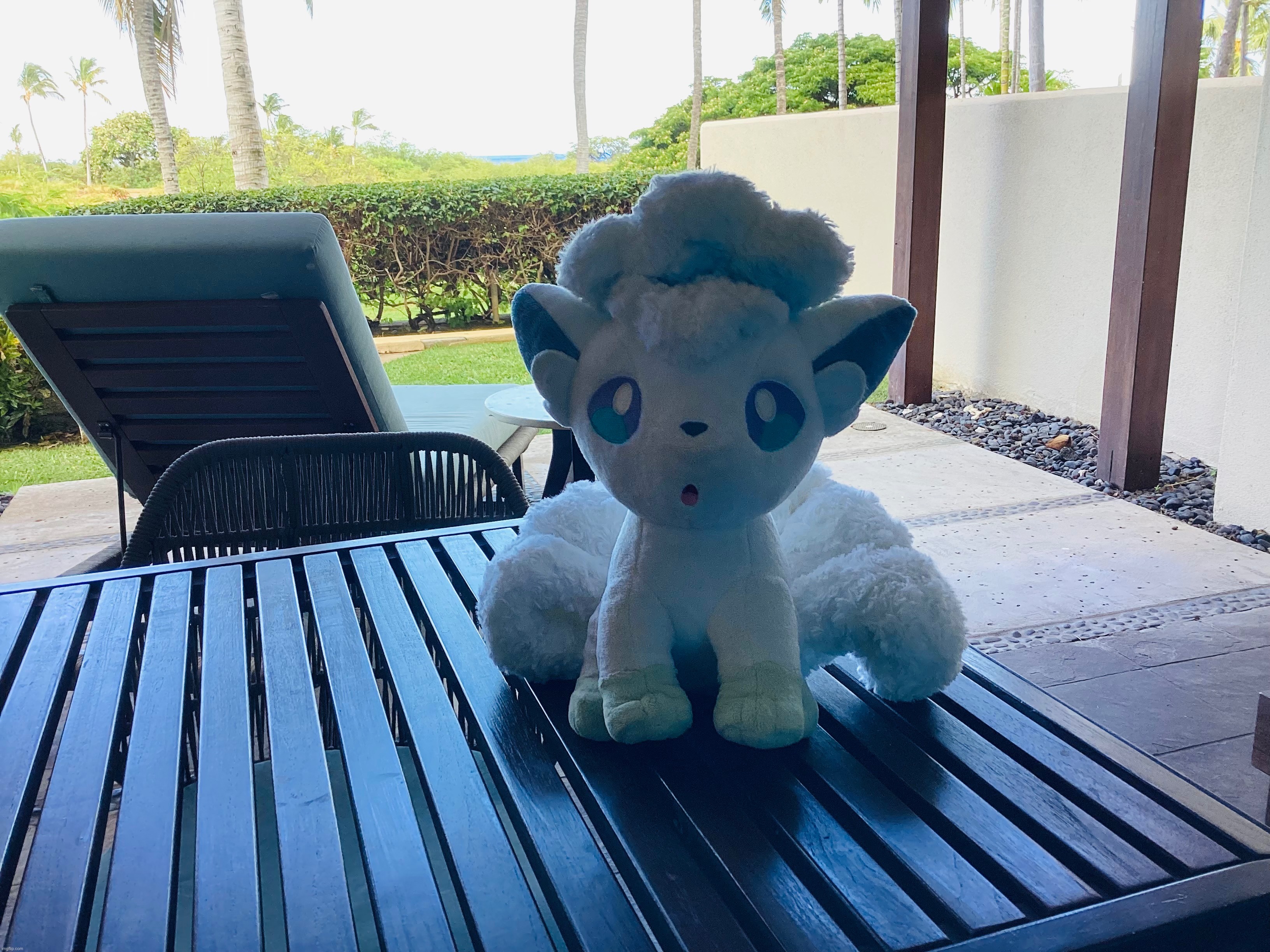 Vulpix in alola - Imgflip