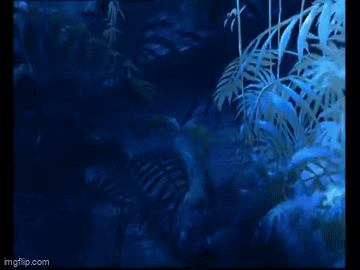 Tarzan (1999) Opening Credits. - Imgflip
