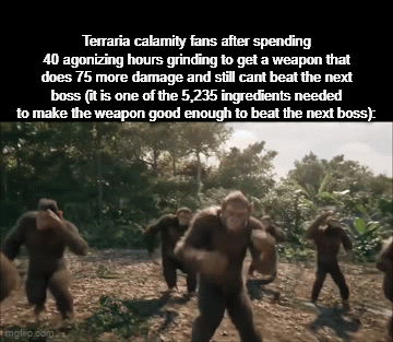 Dancing monkeys - Imgflip