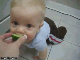 Baby lemon eater - Imgflip