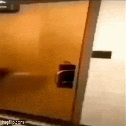 Animated GIF - Imgflip