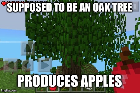 Always wondered this when playing Minecraft... - Imgflip