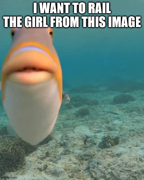 getting too silly - Imgflip