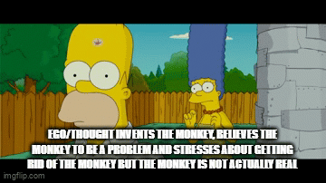 monkey mind - Imgflip