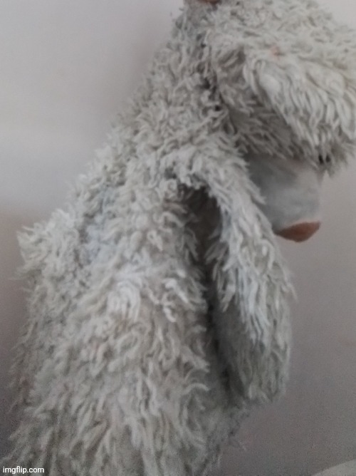 disappointed bear - Imgflip