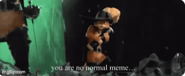 Animated GIF - Imgflip