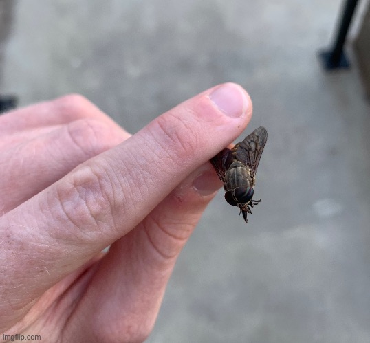 Poor fella - Imgflip