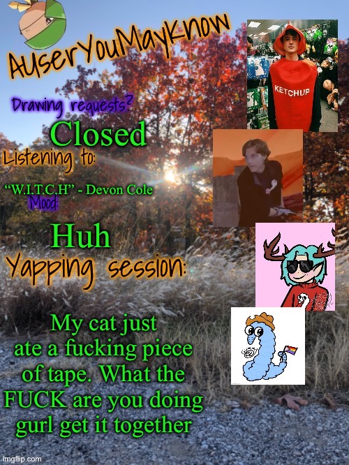 Auymk fall 2024 - Imgflip