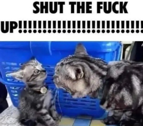 Silver Announcement Template 10.0 Template - Imgflip