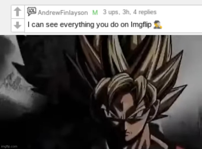 does incognito and private IP protect me from this - Imgflip