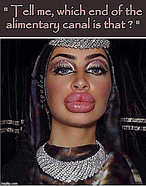 Which end ? - Imgflip