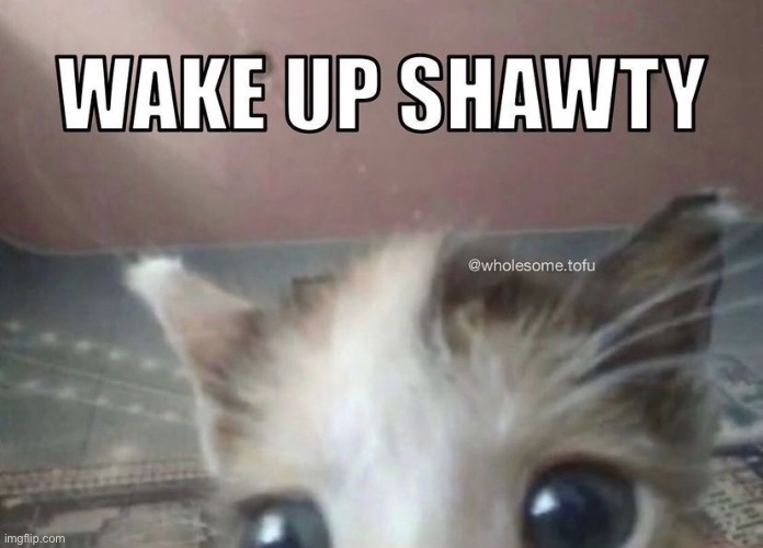 it hurts to breathe all of a sudden :sob: - Imgflip