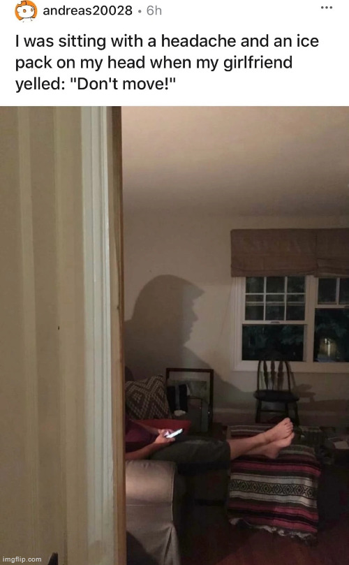 It's a great shadow. Some are saying... even possibly the best shadow ...