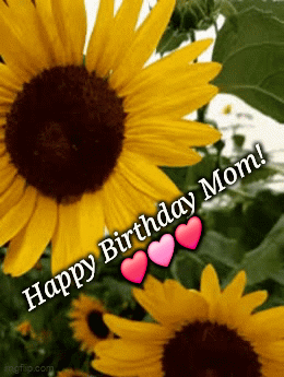 Sunflower Birthday Memes Happy Sunflower Imgflip