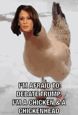 ChickenHead Harris - Imgflip