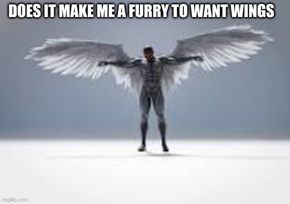 Imgflip
