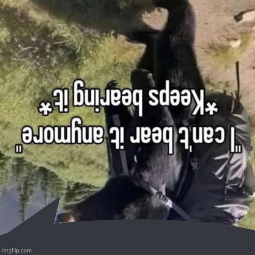 Bear bearing - Imgflip