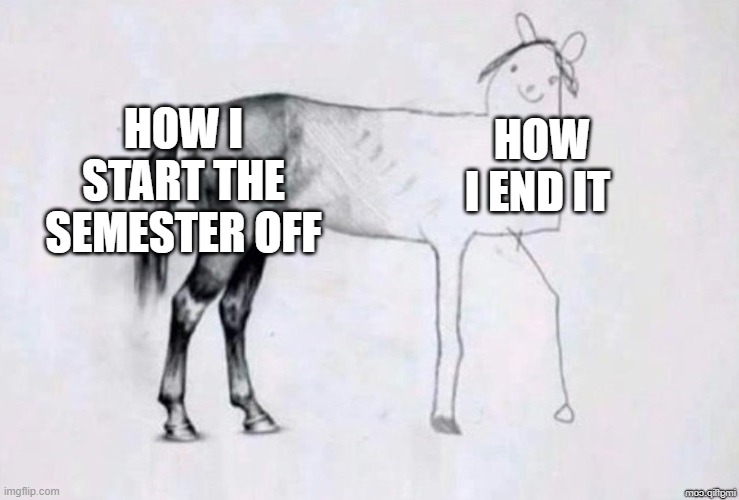 Horse Drawing - Imgflip