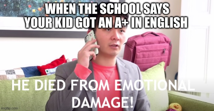 HE DIED FROM EMOTIONAL DAMAGE - Imgflip