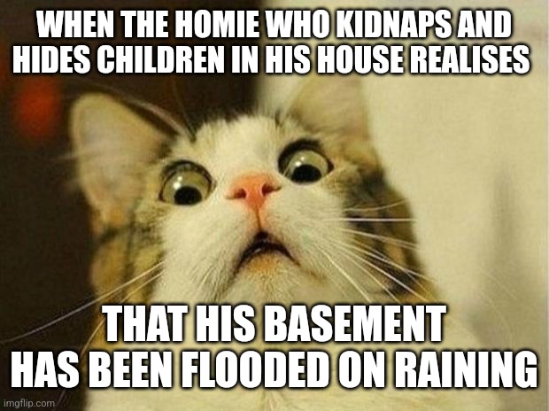 The Homie Who Hides Children in His Basement - Imgflip