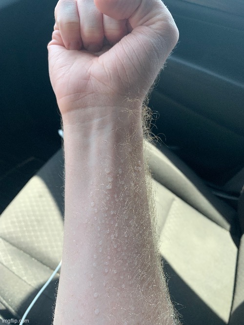 It’s cool seeing sweat drops form on you in real time - Imgflip