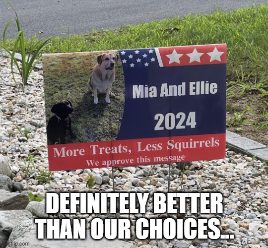 Vote Dog! - Imgflip