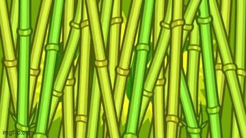 Bamboo Shake - Imgflip