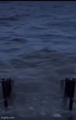 Animated GIF - Imgflip