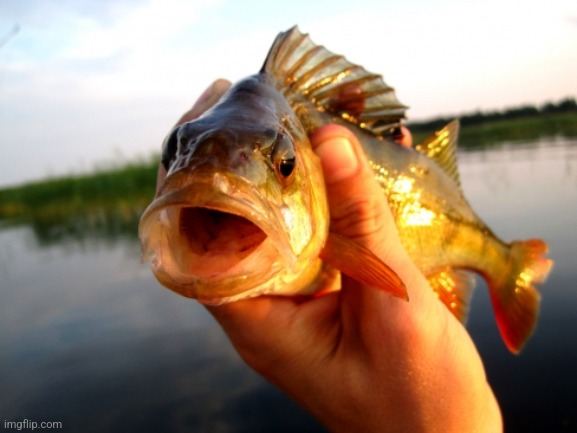 Sad Ryan Gosling - Imgflip